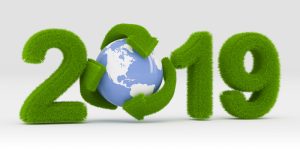 10 Eco-Friendly Resolutions for the New Year