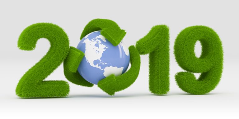 10 Eco-Friendly Resolutions for the New Year